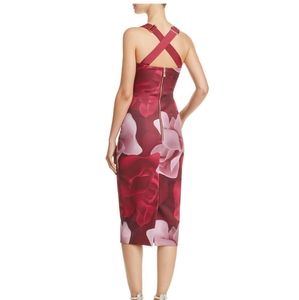 Ted Baker | Dresses | Ted Baker Mallie Porcelain Rose Bodycon Dress ...